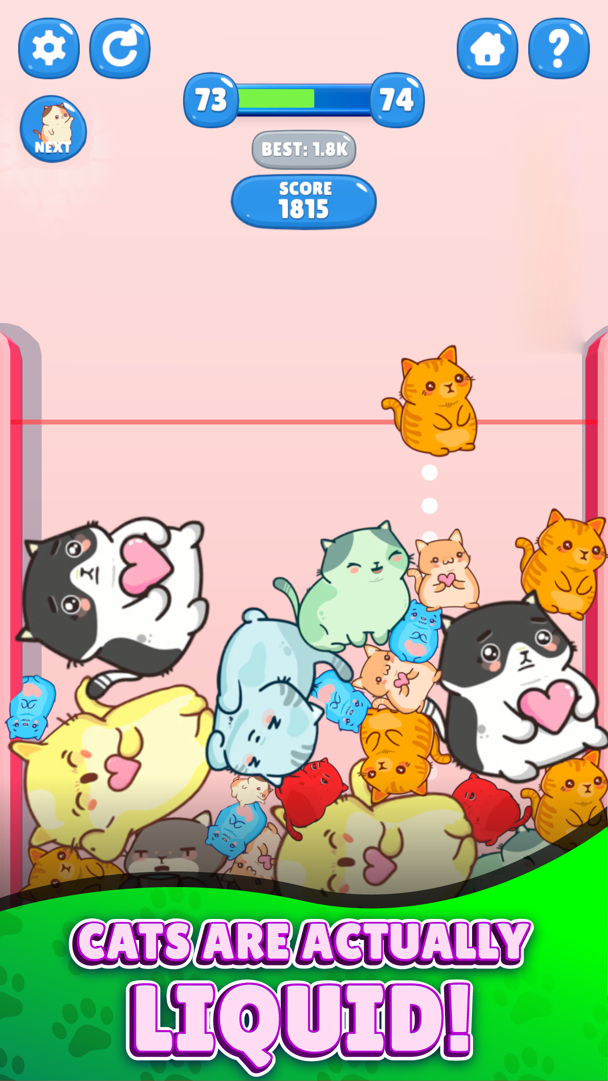 Jello Cats android iOS apk download for free-TapTap