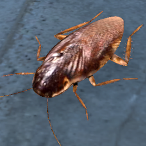 Cockroach Real Simulator for Android/iOS - TapTap