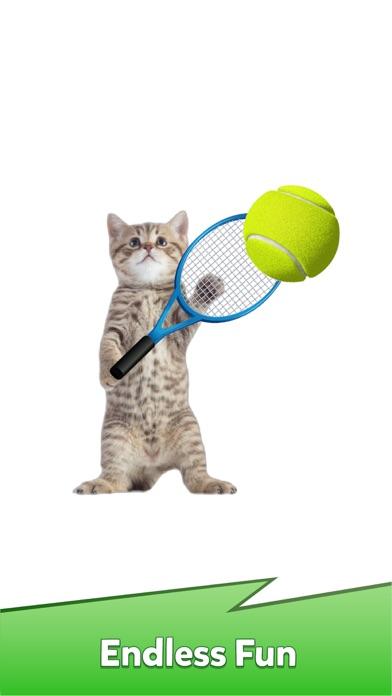 Cat Tennis Clash - 3D Tennis android iOS apk download for free-TapTap