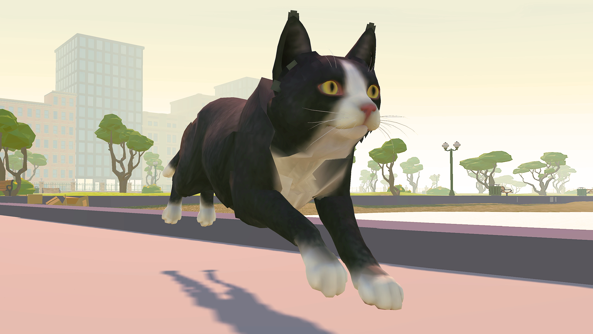 Cat Life Simulator: City Park android iOS apk download for free-TapTap