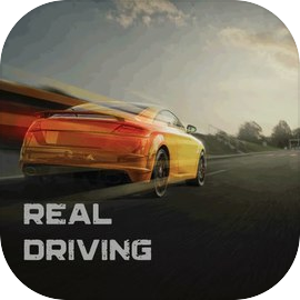 Real Driving android iOS-TapTap