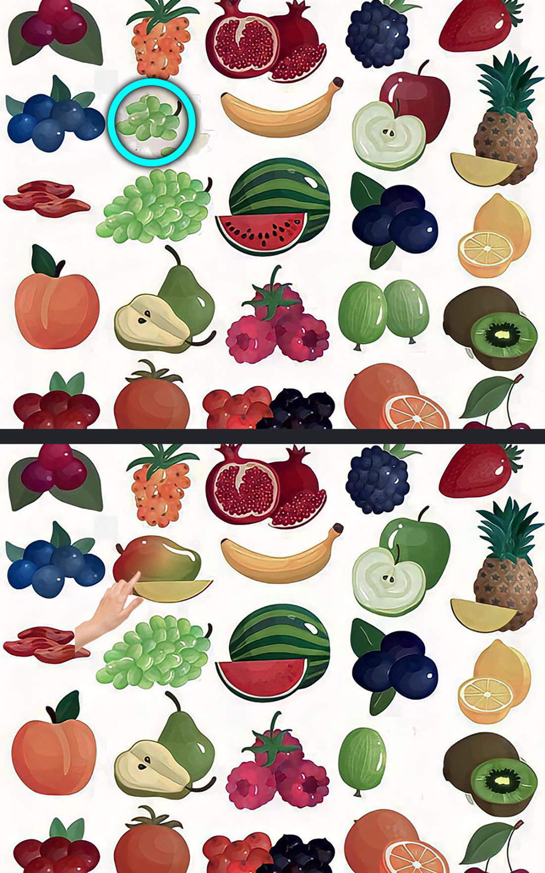 Find the differences fruits android iOS apk download for free-TapTap