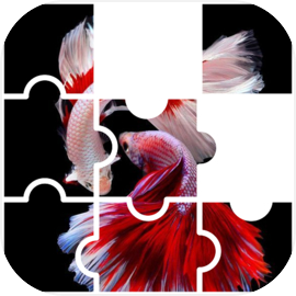 Betta Fish Game Puzzle Jigsaw mobile android iOS-TapTap