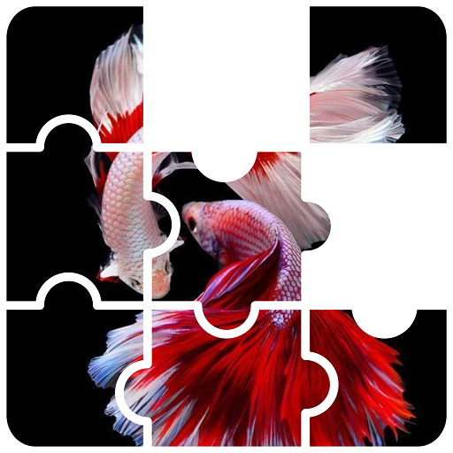 Betta Fish Game Puzzle Jigsaw for Android/iOS - TapTap