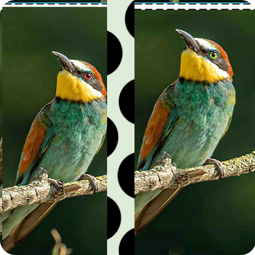 Image difference Find for Android/iOS - TapTap