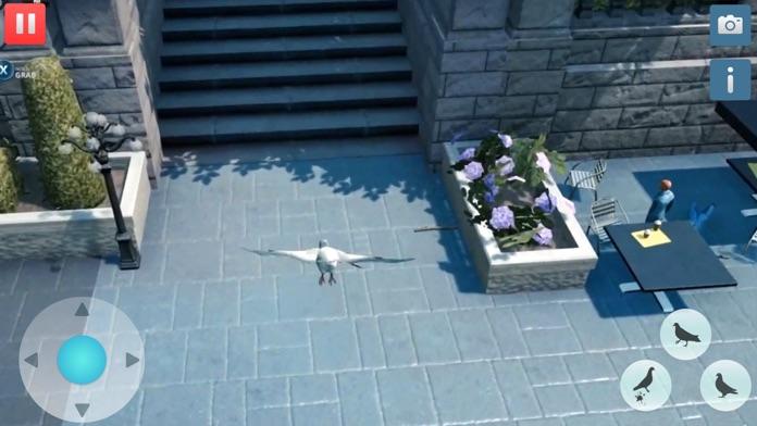 Hungry Pigeon Simulator Game for Android/iOS - TapTap