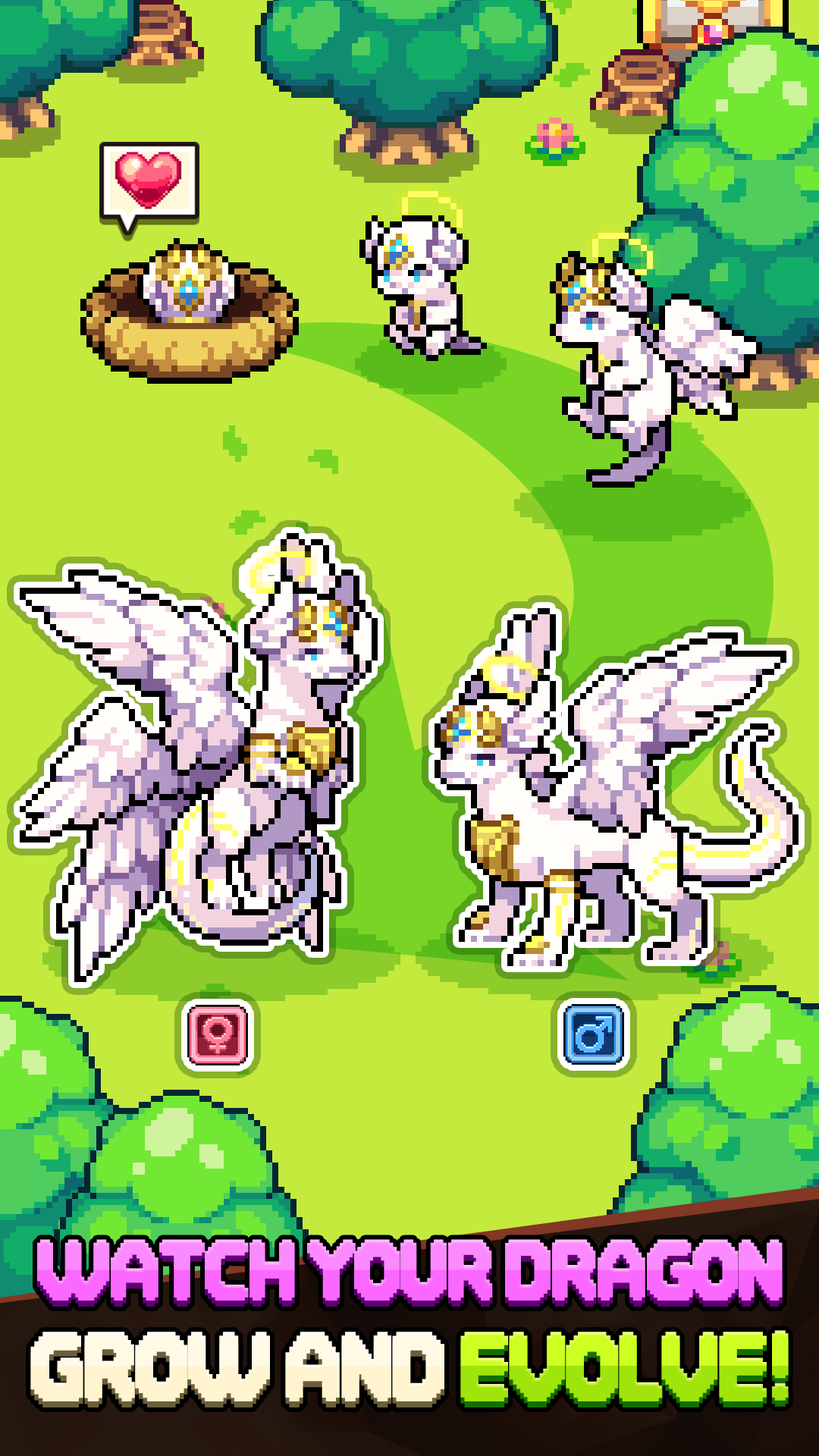 Download Dragon Village Collection 1.2.7 for Android/iOS APK - TapTap