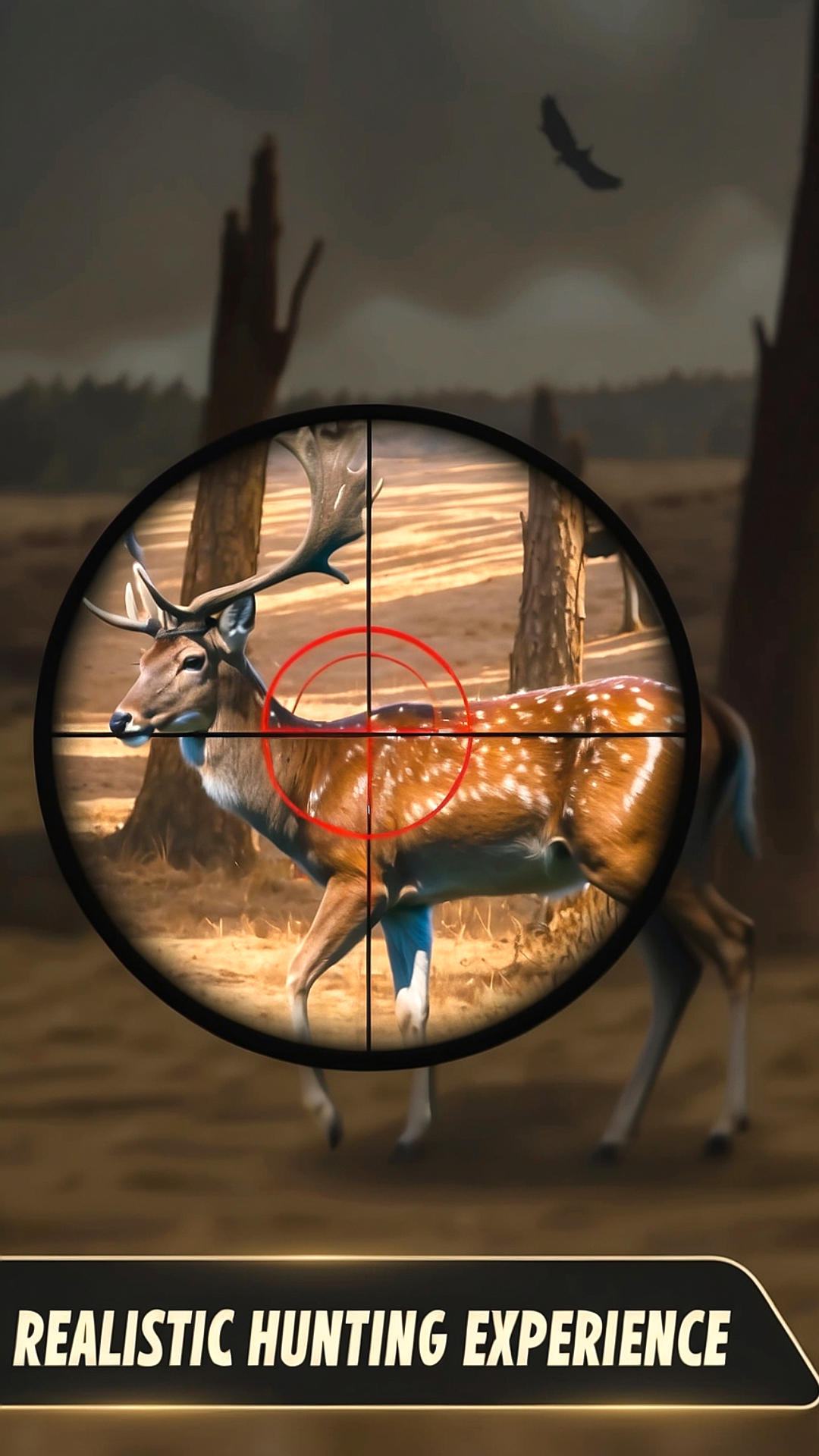Animal Hunter Shooting Game 3D android iOS apk download for free-TapTap