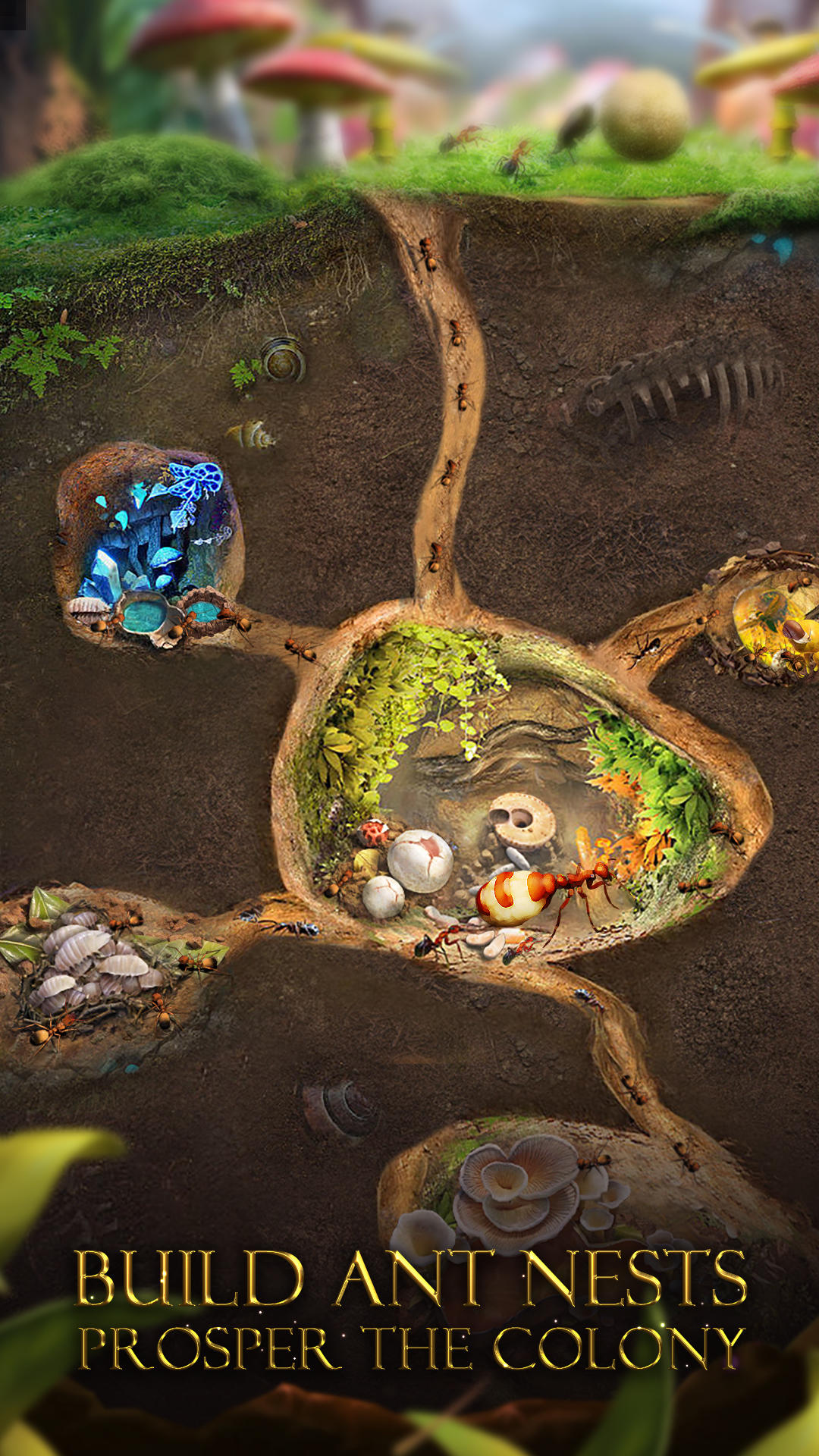 Ants Kingdom android iOS-TapTap