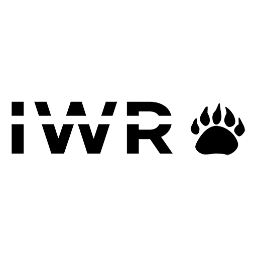 IWR Brand Game Latest Version for Android/iOS APK - TapTap