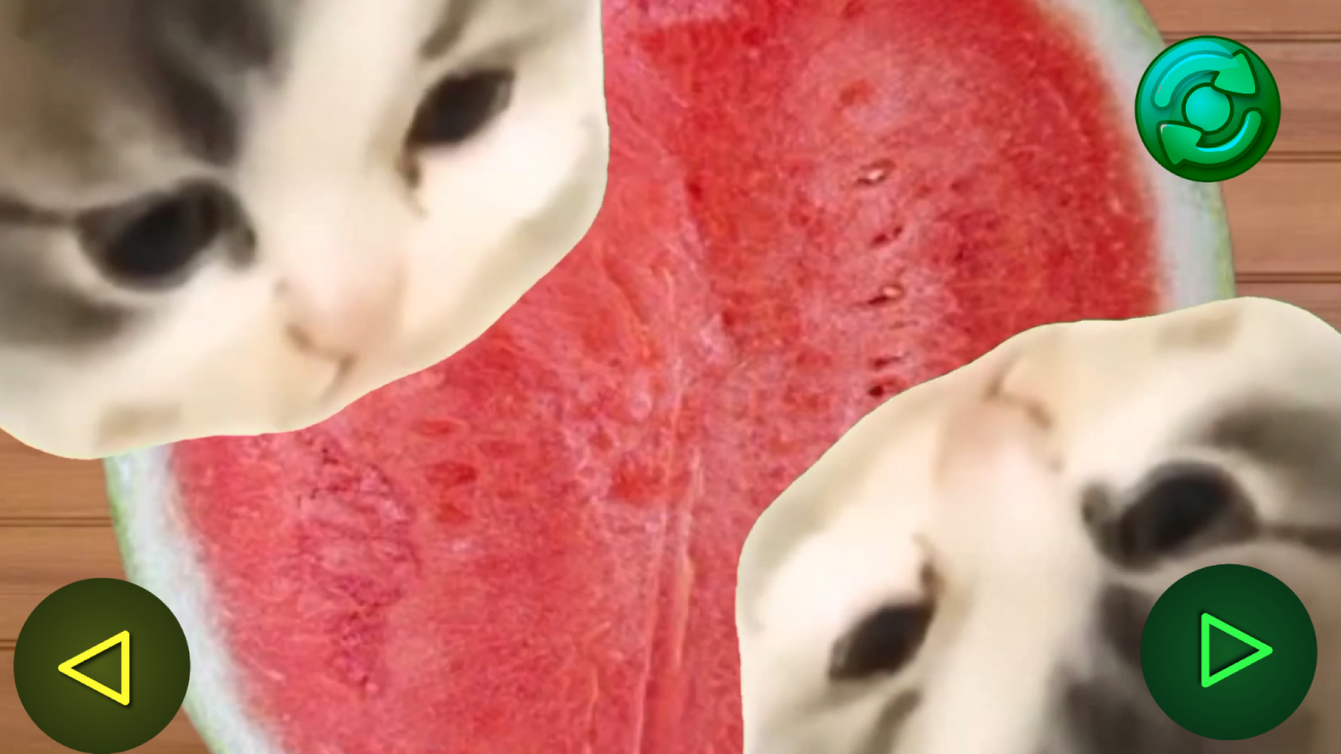 Happy Cat Game android iOS-TapTap