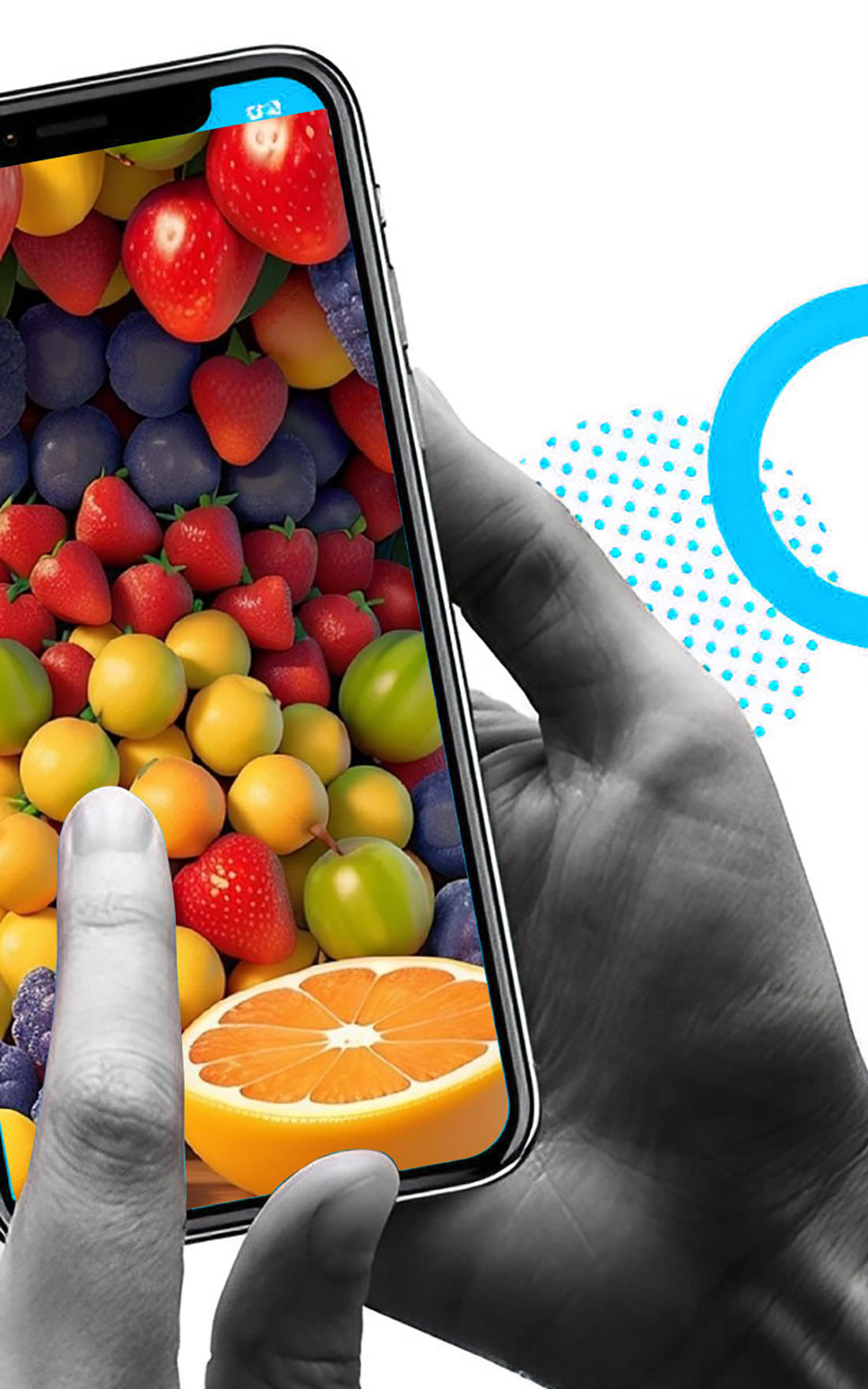 Find it out - hidden fruits android iOS apk download for free-TapTap