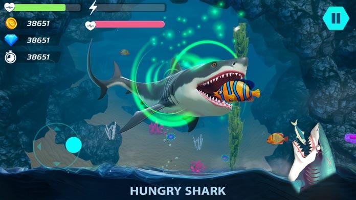 Angry Shark Hunting Shark Game android iOS apk download for free-TapTap