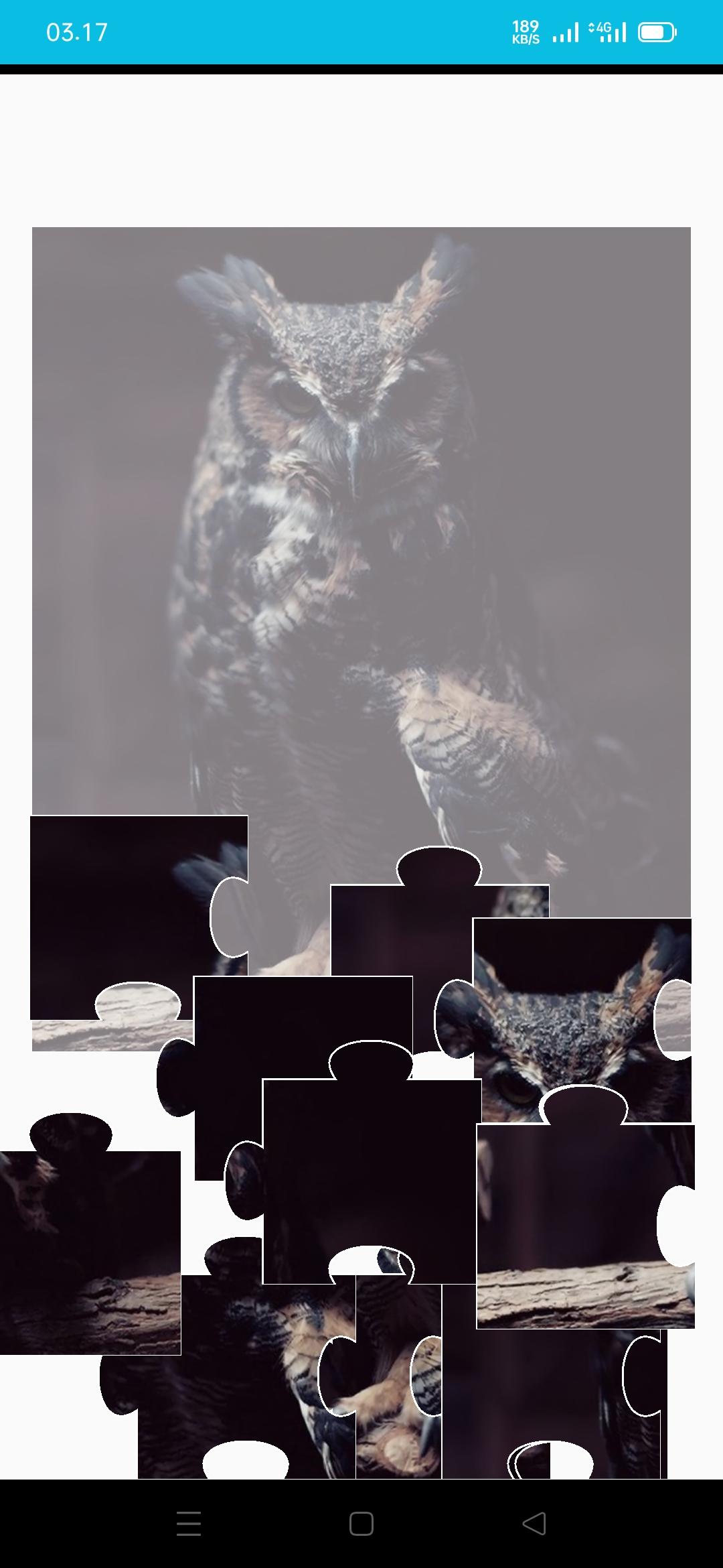 Owls Scary Puzzle Game android iOS-TapTap