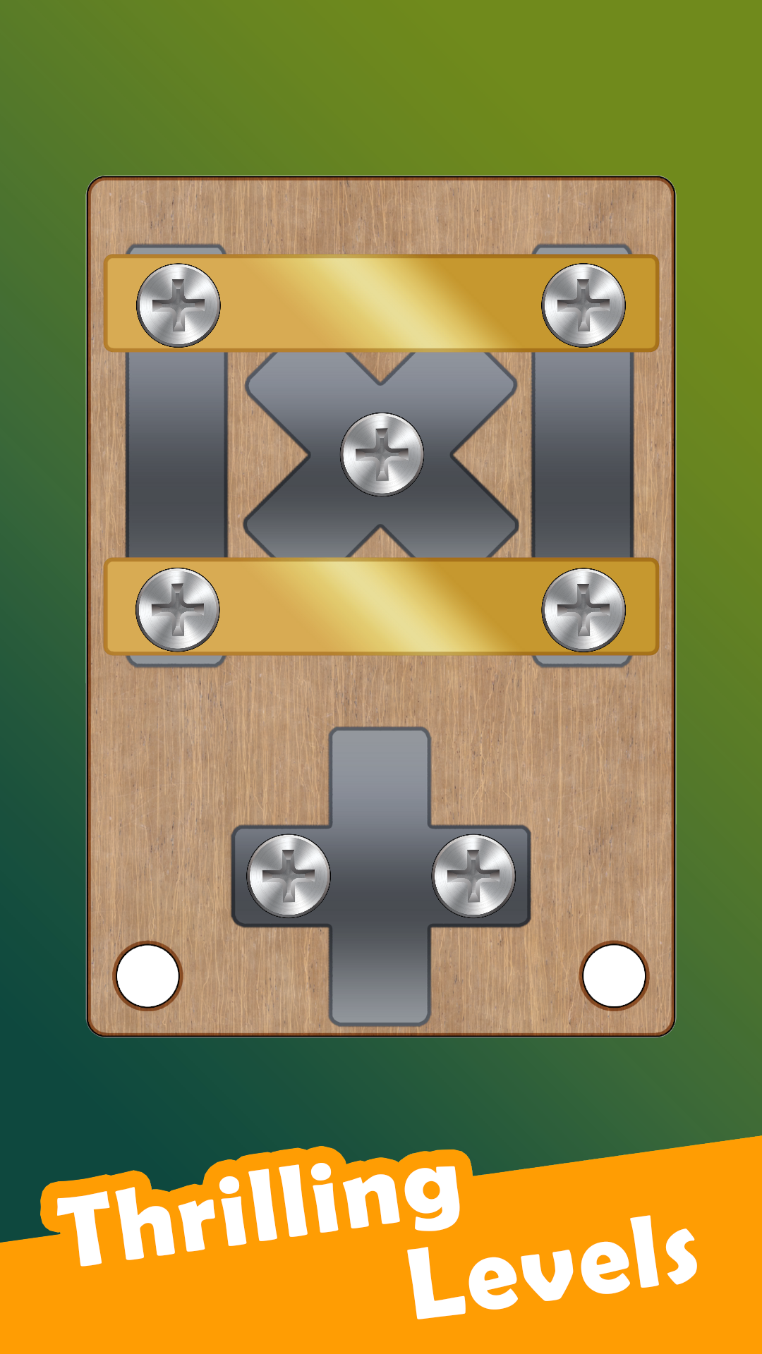 Screw Pin Unlock Puzzle android iOS apk download for free-TapTap