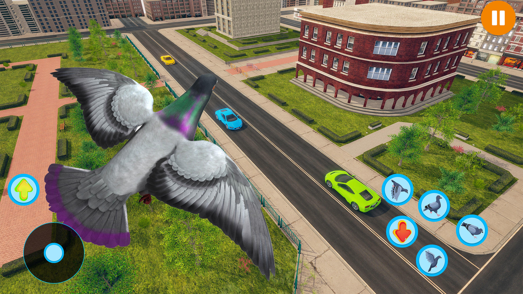 Flying Bird Pigeon Games android iOS apk download for free-TapTap