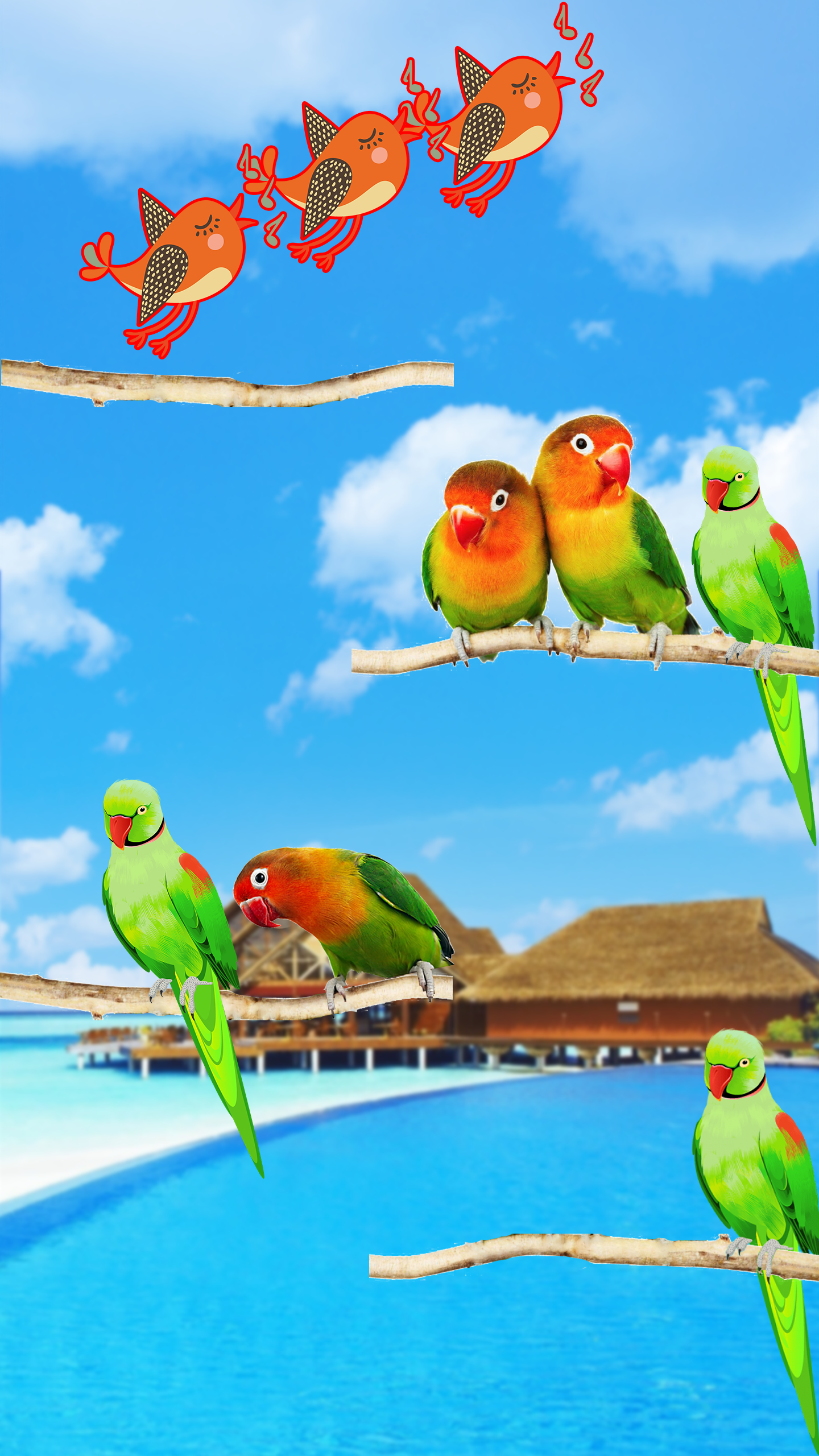 Bird Sort Puzzle Birds Sorting android iOS apk download for free-TapTap