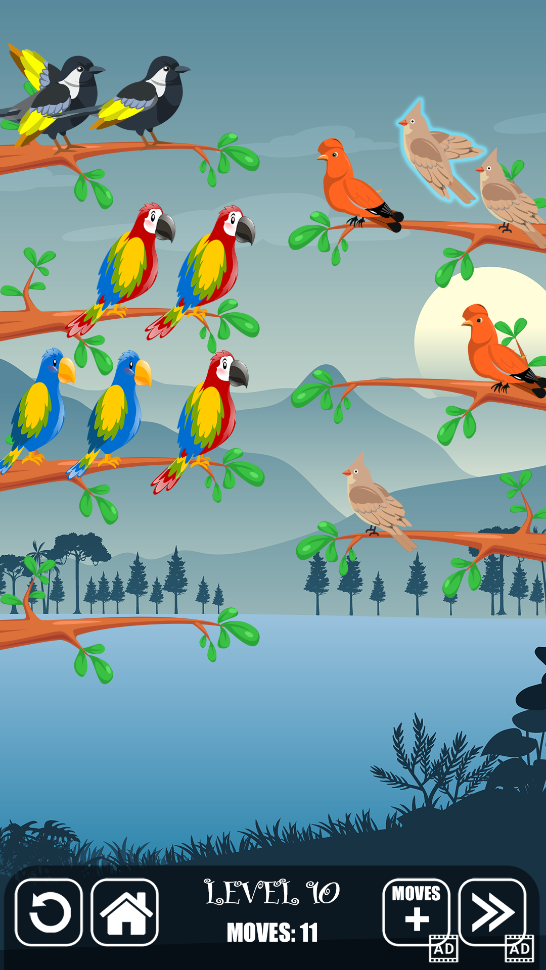 Bird Sorting Fun Puzzle Game android iOS apk download for free-TapTap