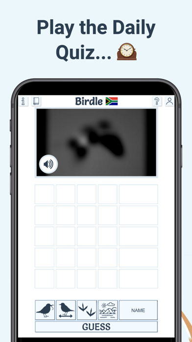 Birdle - A Daily Guessing Game for Android/iOS - TapTap
