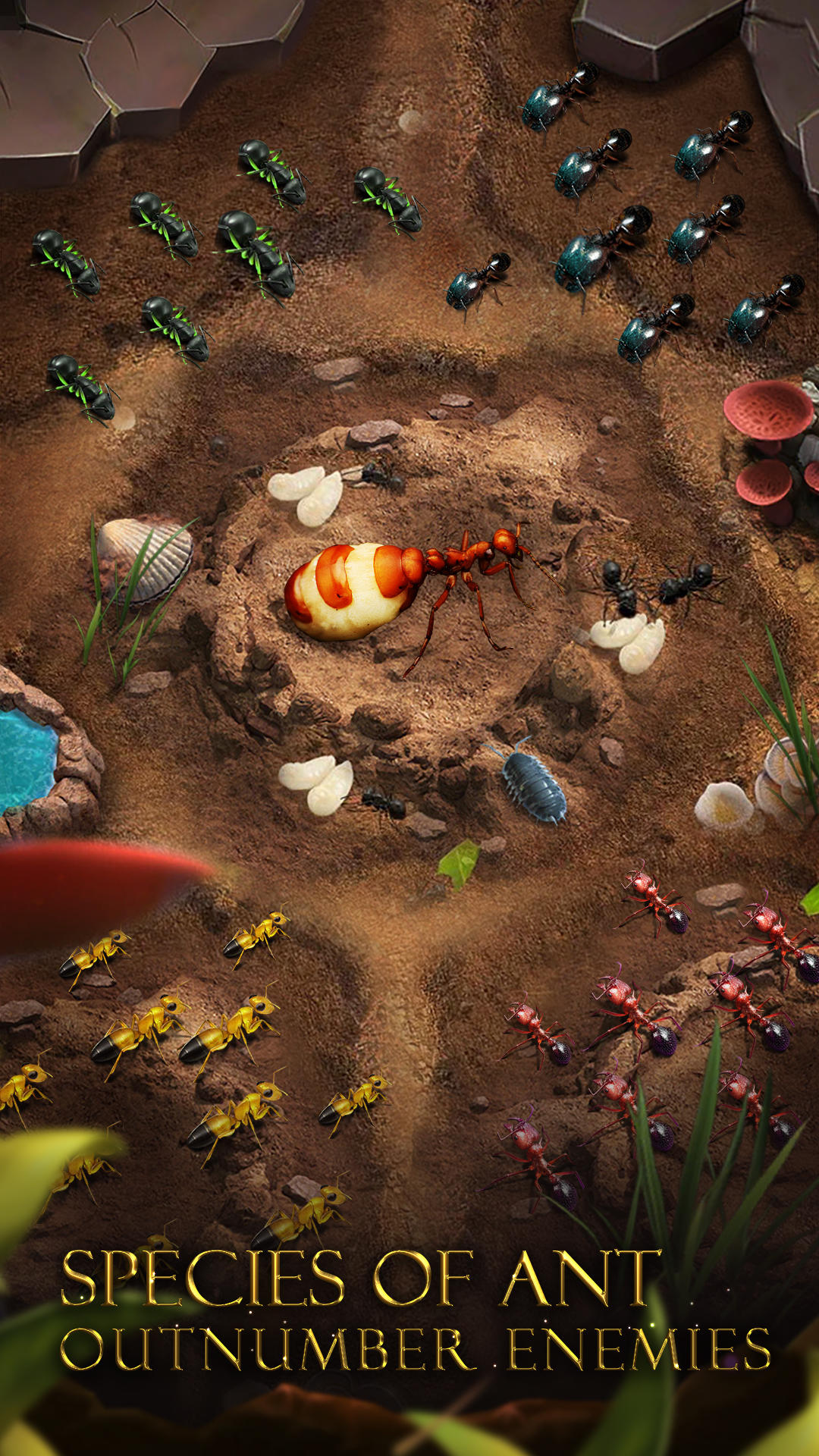 Ants Kingdom android iOS-TapTap