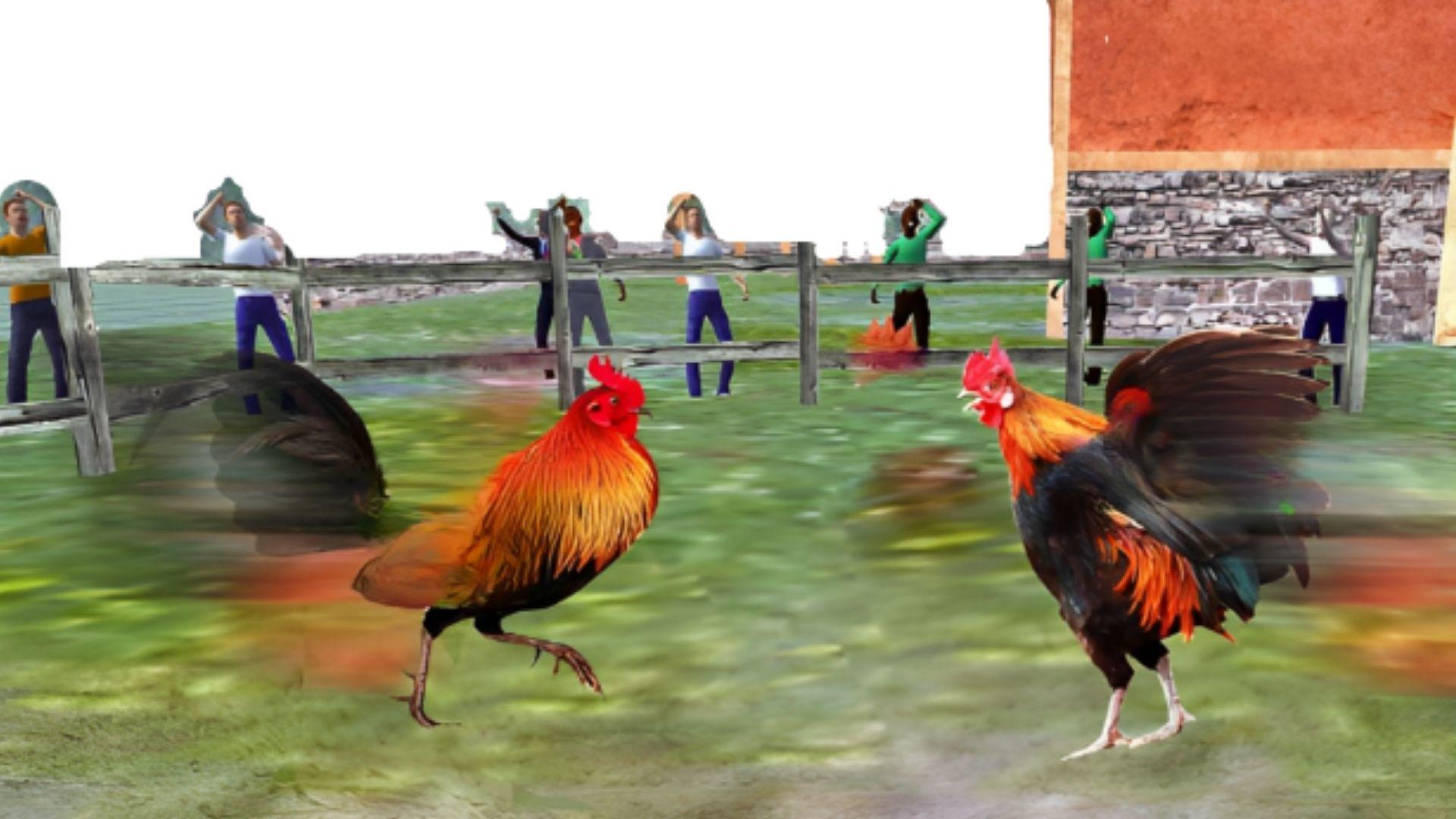 Angry Chicken Cockfight Battle android iOS-TapTap