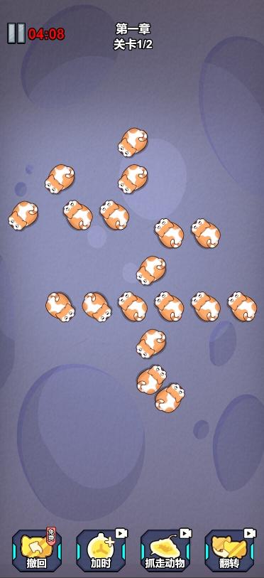 Cat Sort Puzzle: Cute Pet Game android iOS apk download for free-TapTap