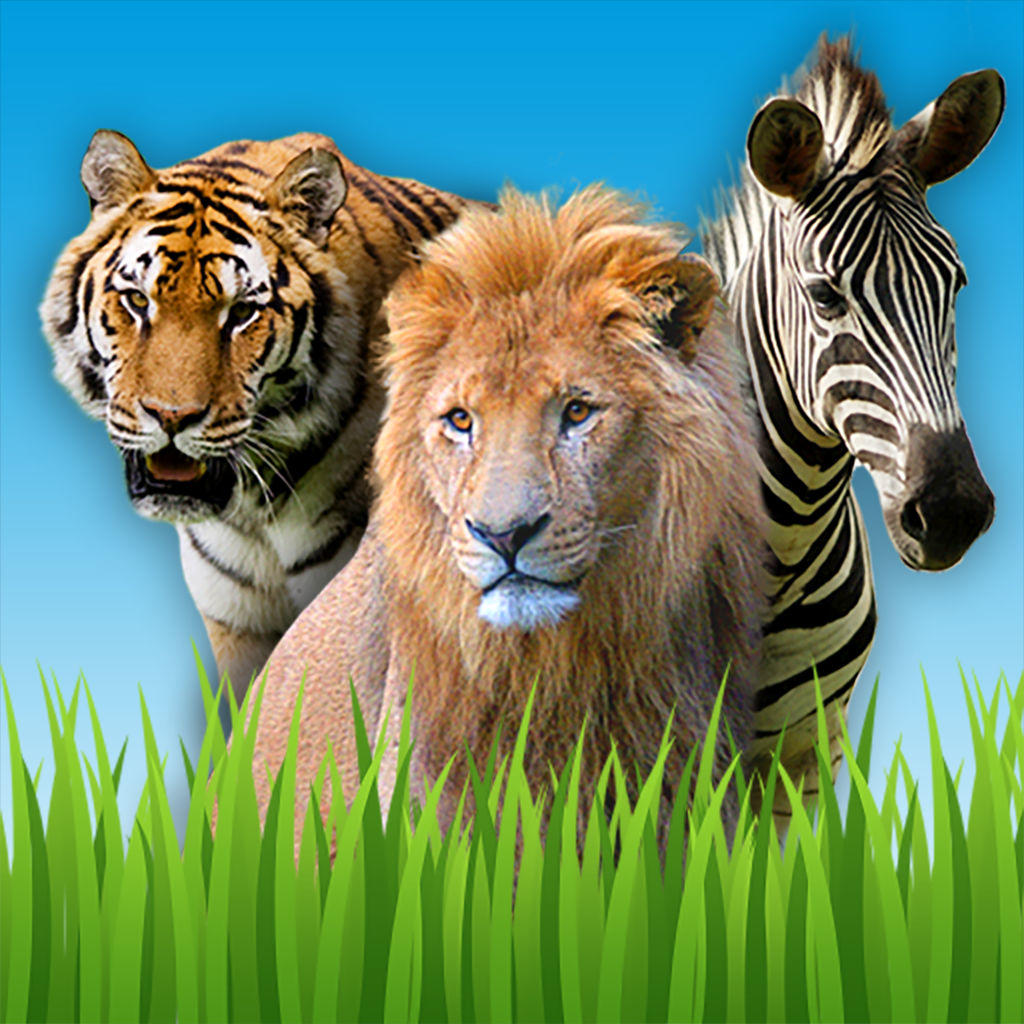 Zoo Sounds - Fun Educational Games for Kids for Android/iOS