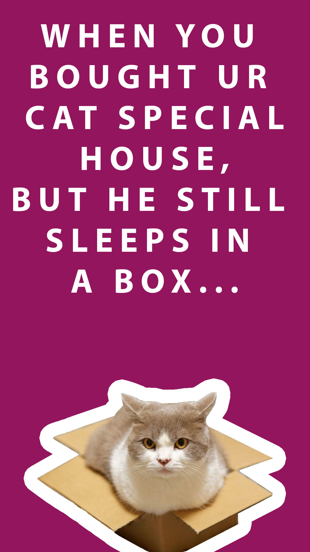 No bots allowed android iOS apk download for free-TapTap