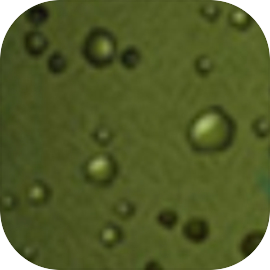 Frog Ball android iOS-TapTap