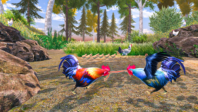 Wild Rooster Chicken Simulator android iOS apk download for free-TapTap