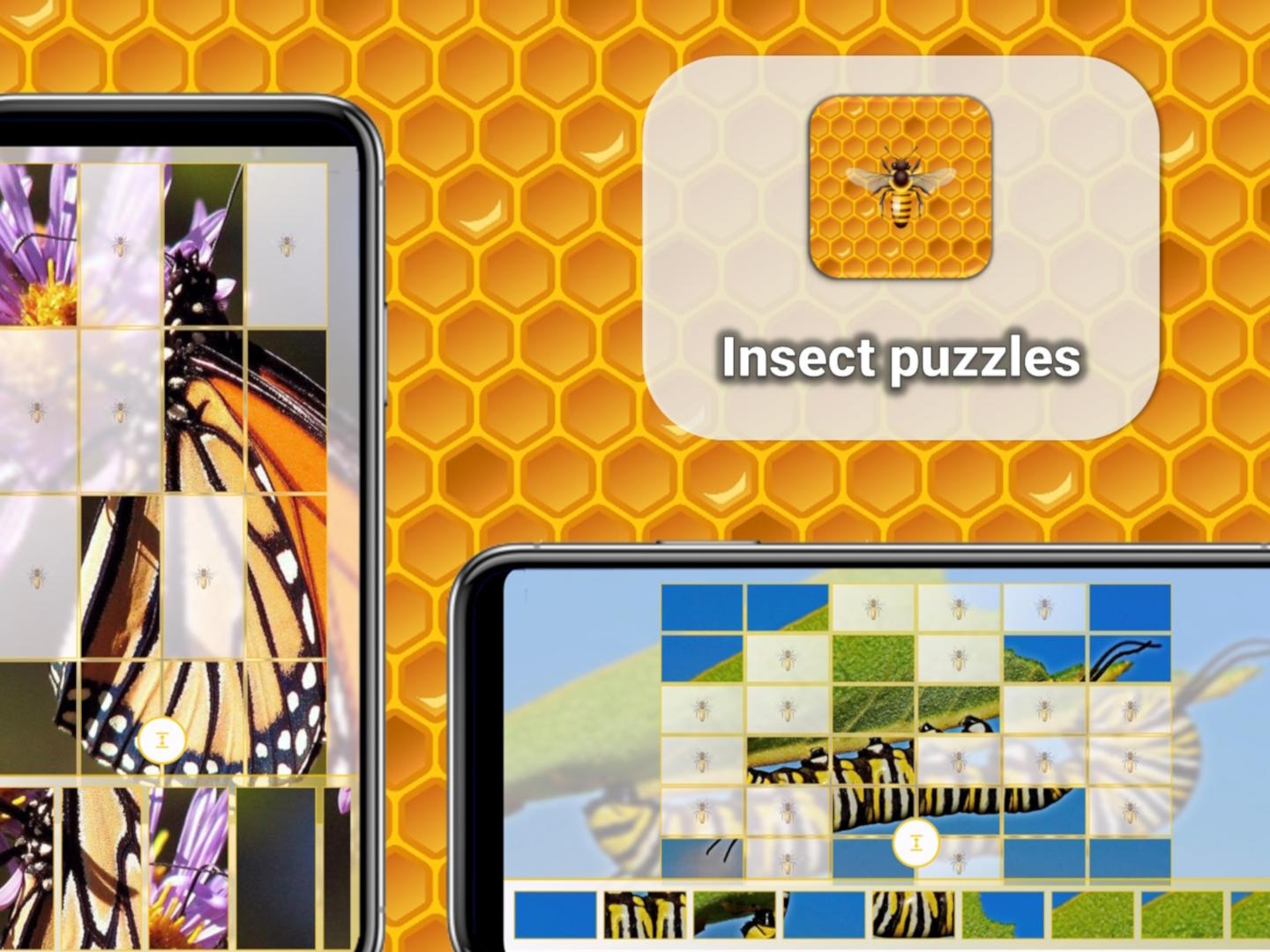 Insect puzzles android iOS apk download for free-TapTap