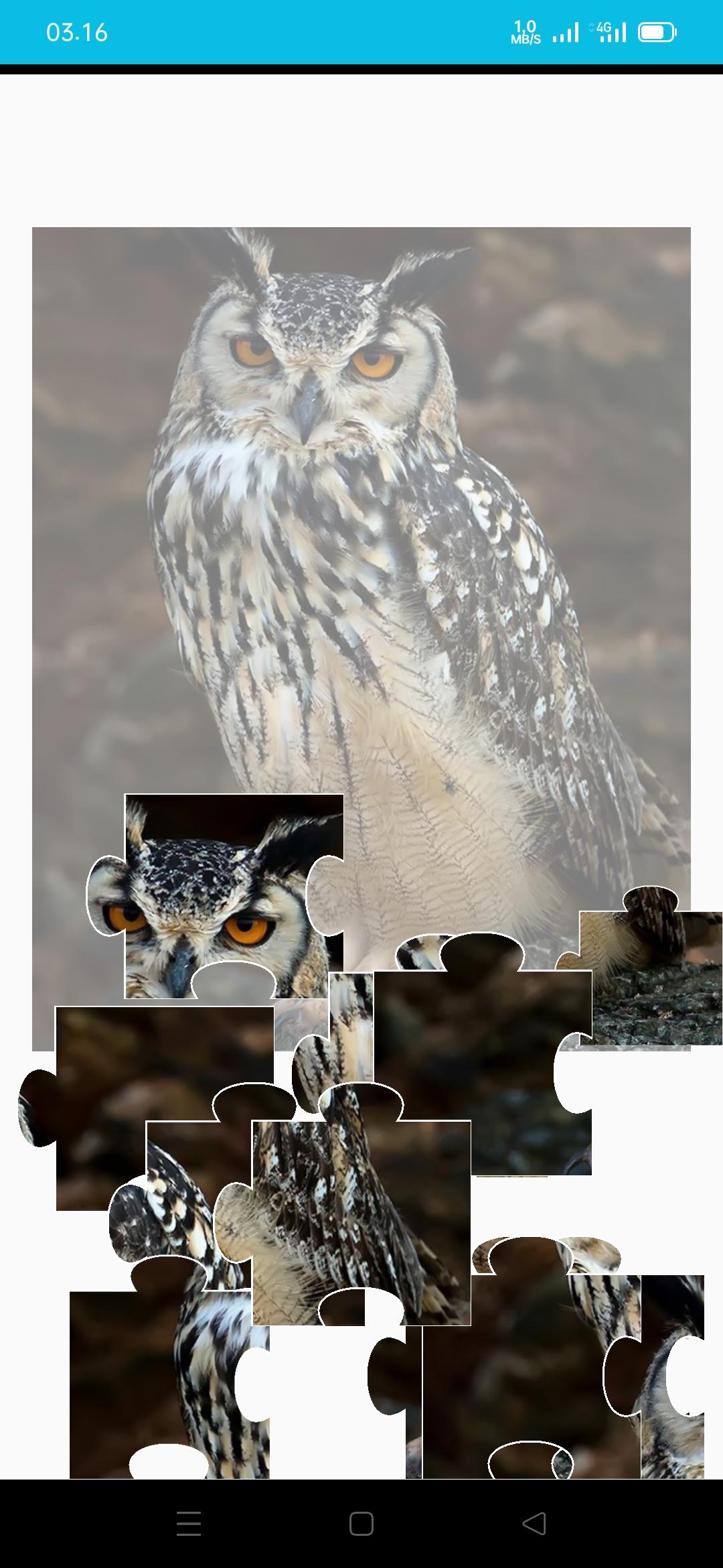 Owls Scary Puzzle Game android iOS-TapTap