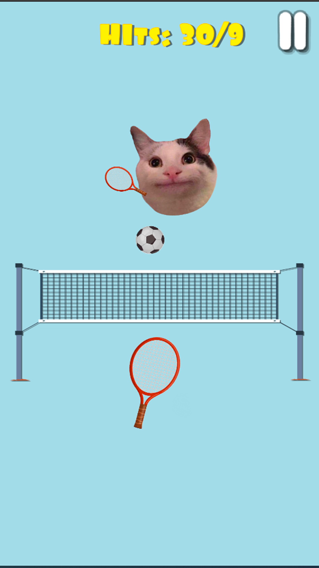 Cat Tennis: Meow Sports Battle android iOS apk download for free-TapTap