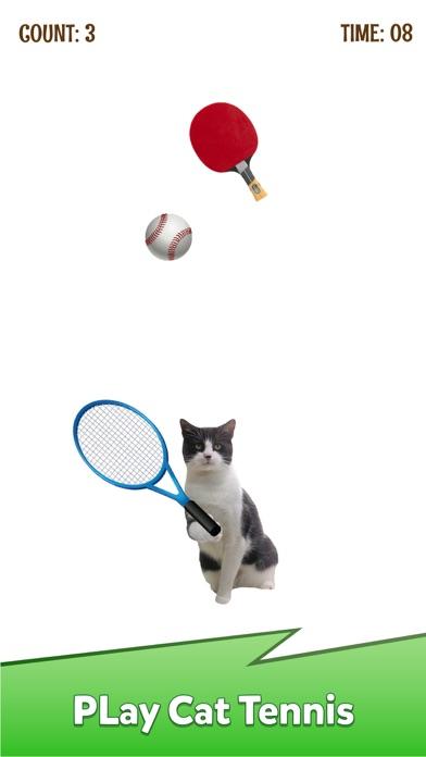Cat Tennis Clash - 3D Tennis android iOS apk download for free-TapTap