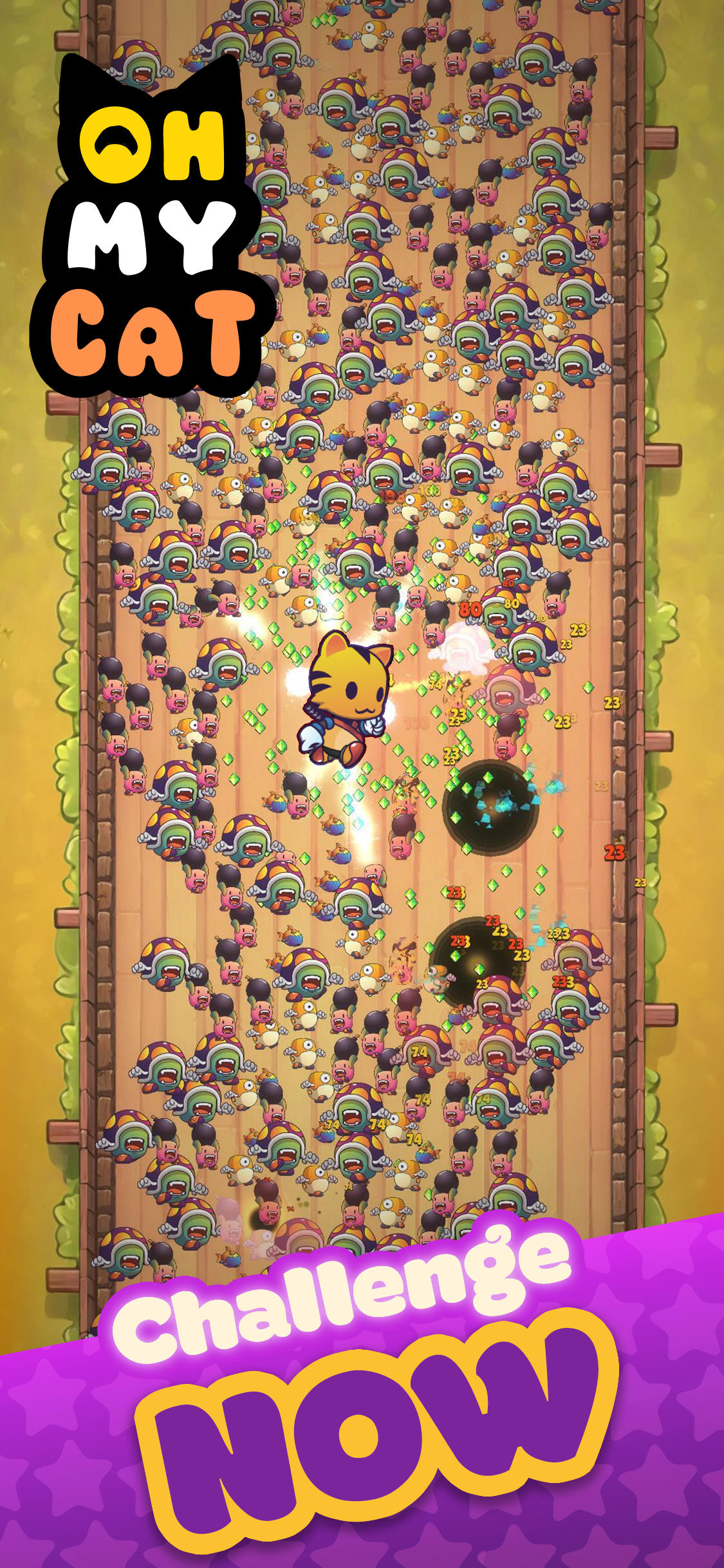 Oh My Cat: Survivor android iOS-TapTap