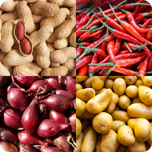 Vegetable Games Latest Version for Android/iOS APK - TapTap