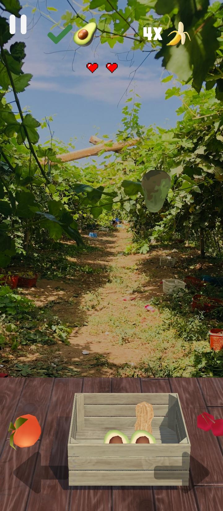 Fruit Catcher android iOS apk download for free-TapTap