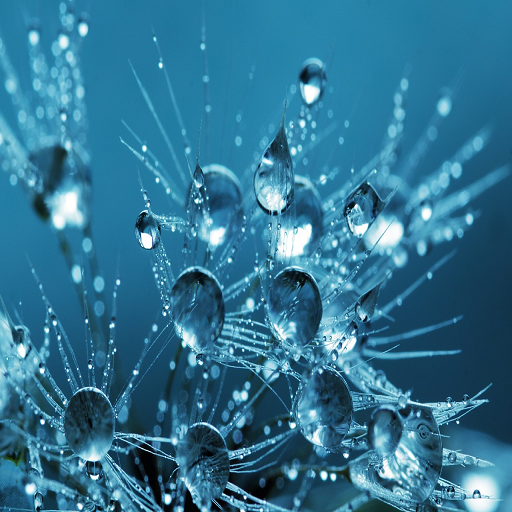BUBBLE TOUCH Latest Version for Android/iOS APK - TapTap