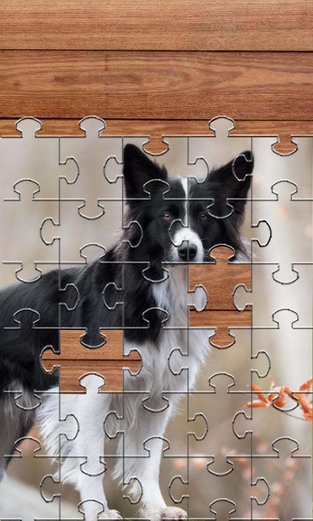 Dogs Jigsaw Puzzle Games 0.0.1 Android iOS APK TapTap