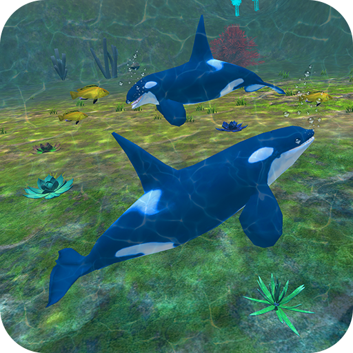 Orca Simulator Killer Whale android iOS-TapTap