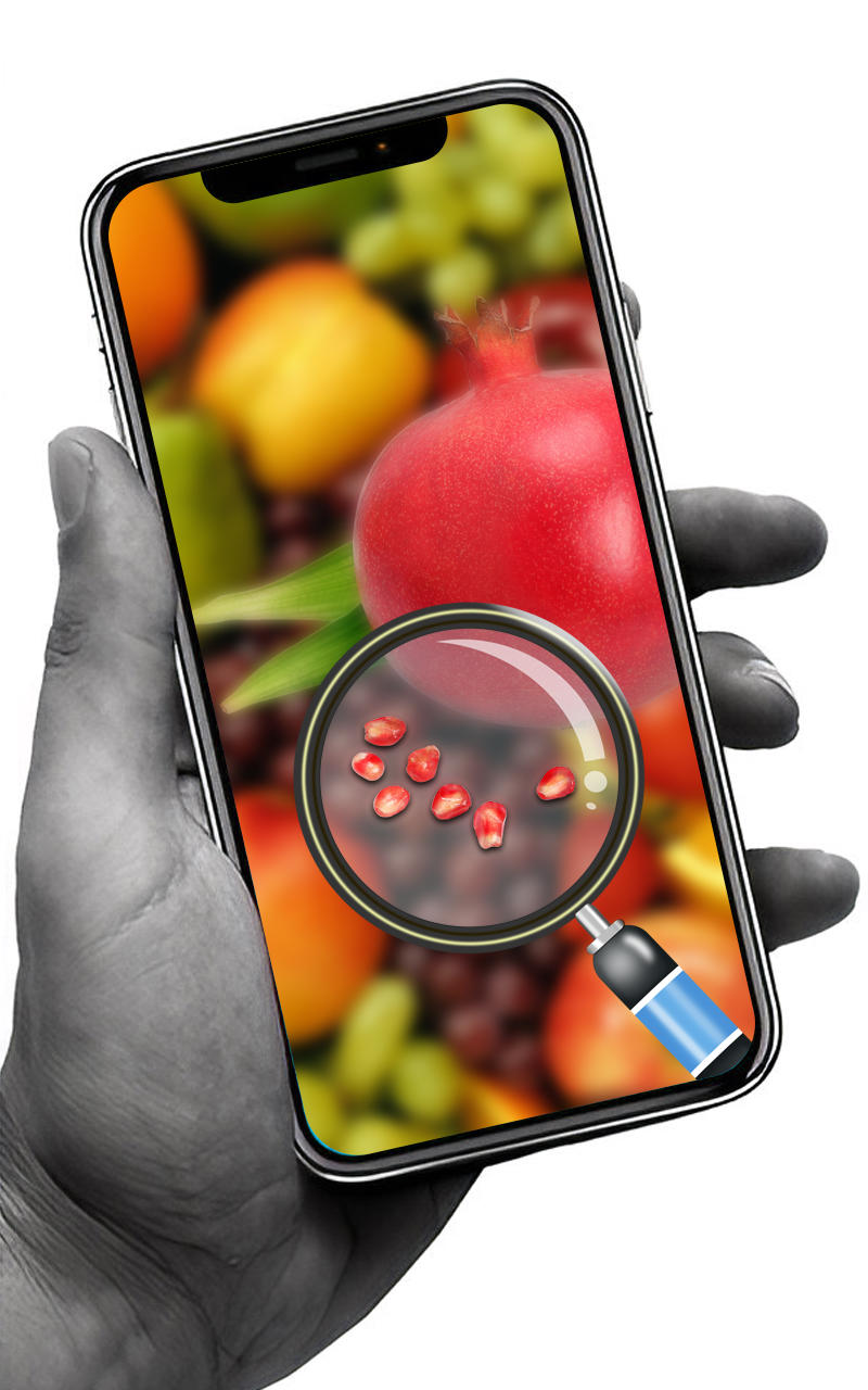 Find it out - hidden fruits android iOS apk download for free-TapTap