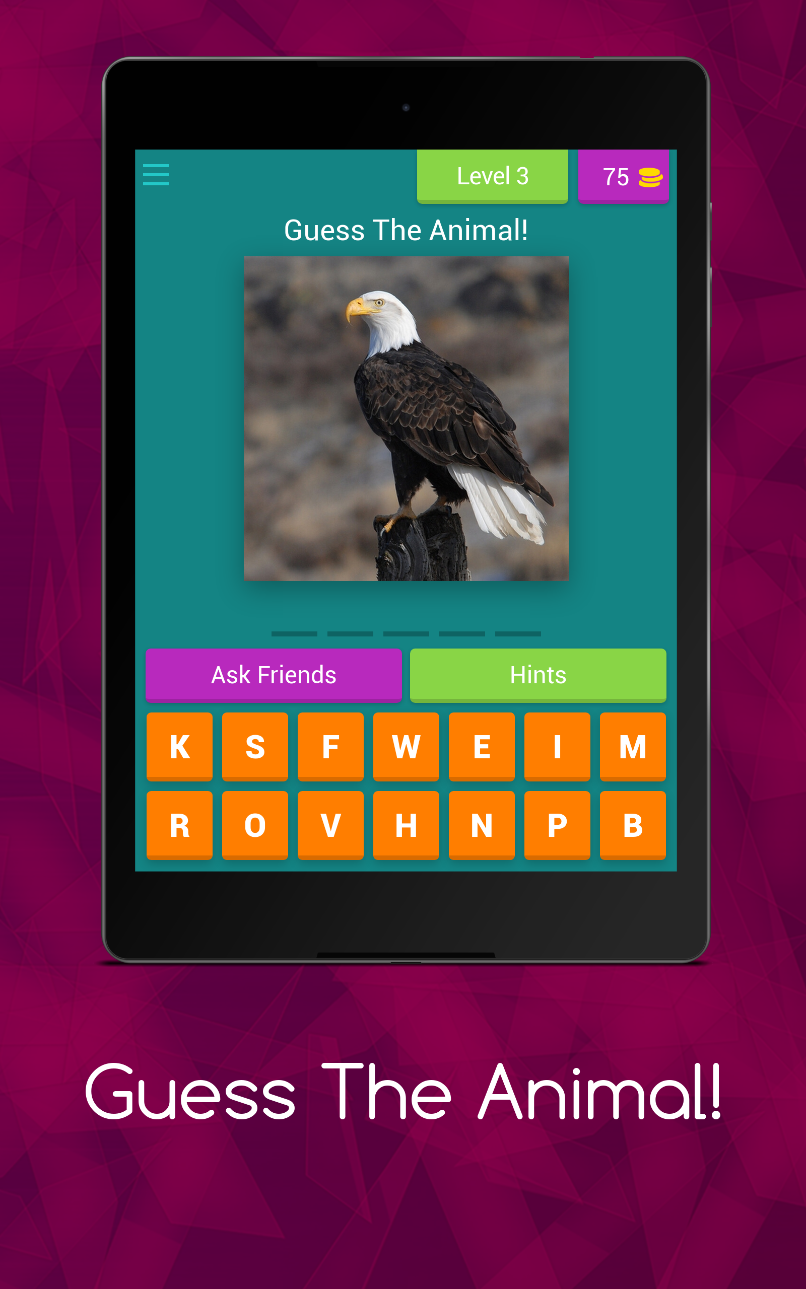 Guess The Animal mobile-TapTap