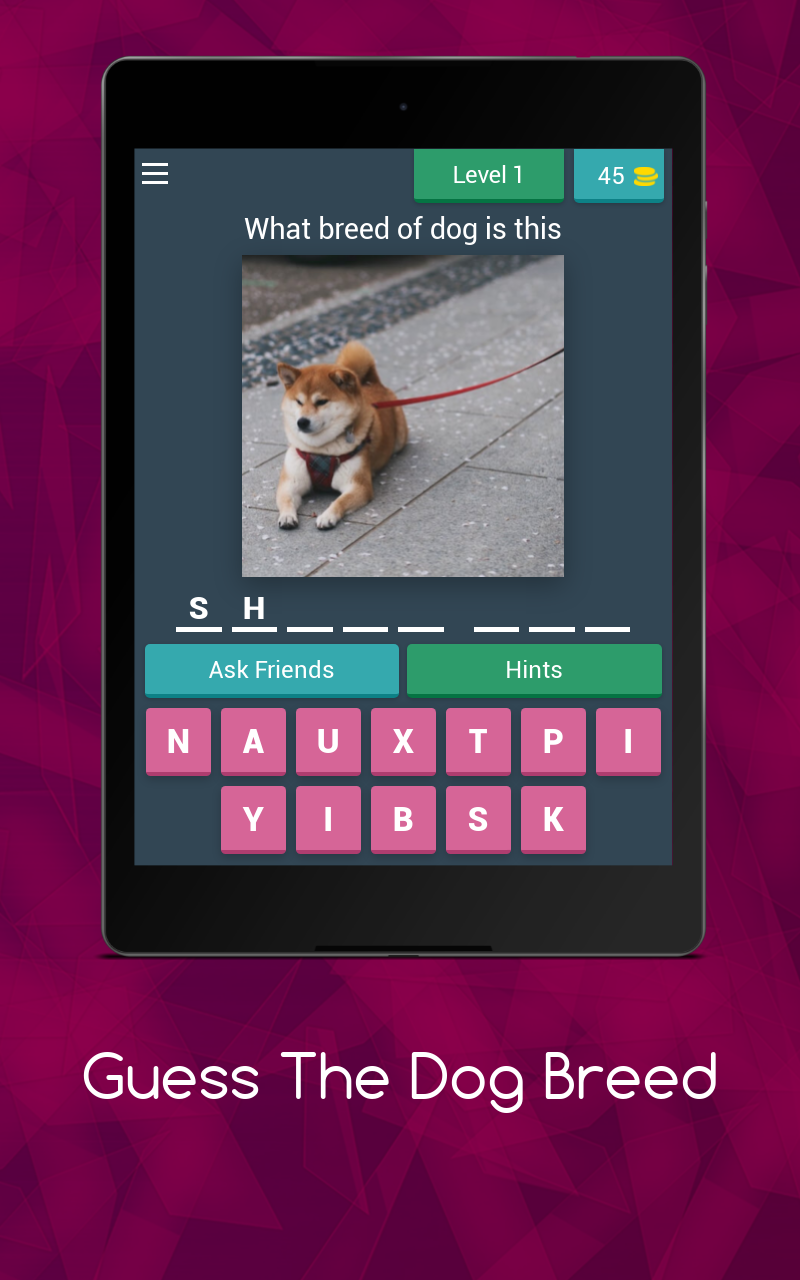 Guess the Dog Breed - Trivia android iOS-TapTap