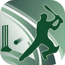 Cricket Power-Play android iOS apk download for free-TapTap