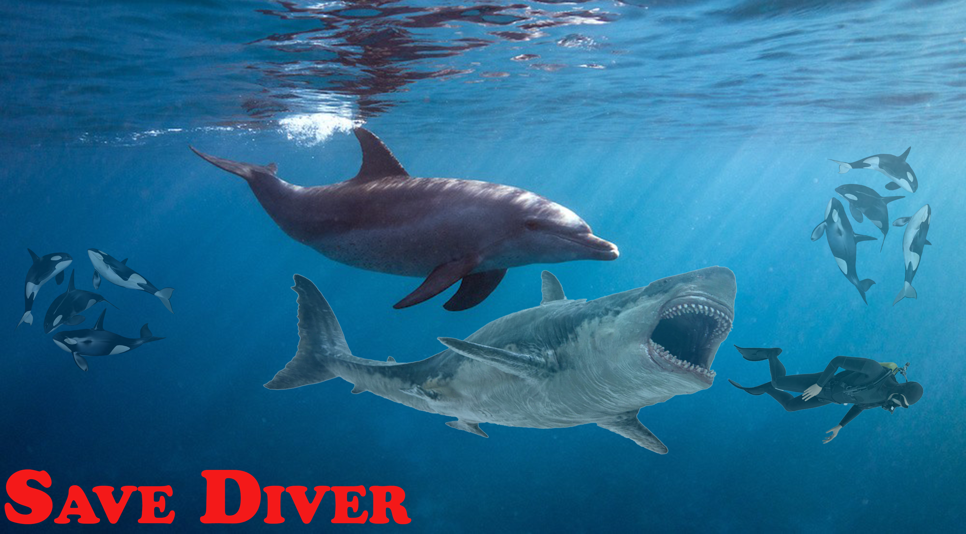 Hungry Dolphin : Dolphin Games android iOS-TapTap