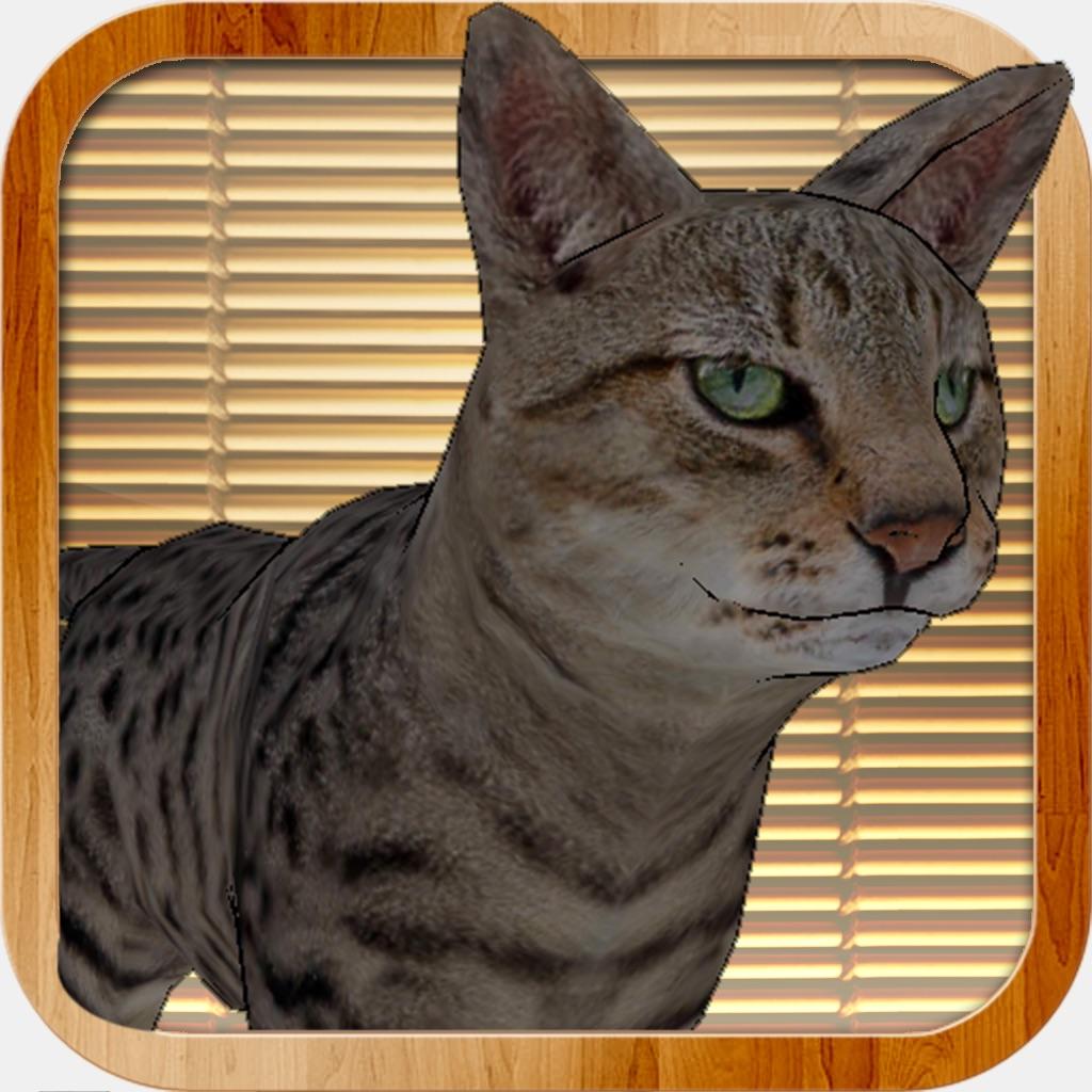 Kitty Cat Simulator: destroy all! for Android/iOS - TapTap