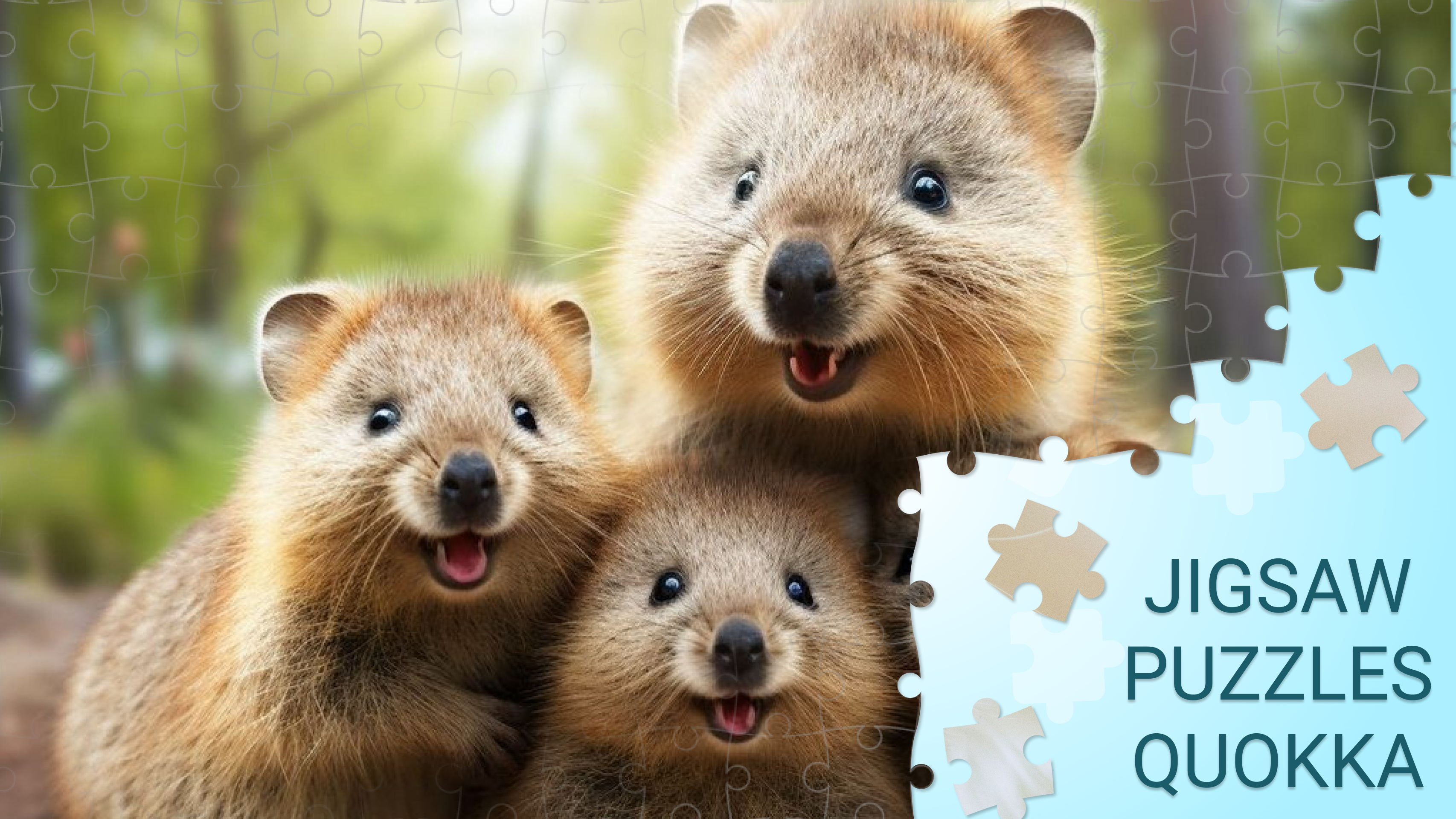 Quokka Games Jigsaw Puzzles android iOS apk download for free-TapTap