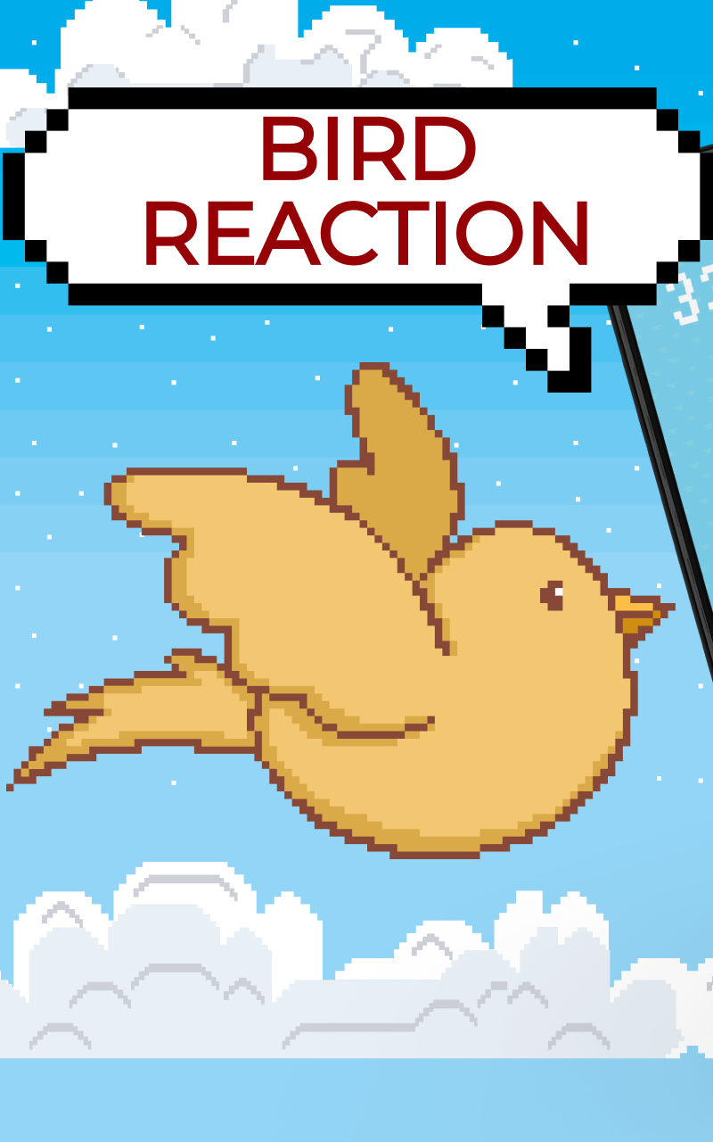 Bird Reaction android iOS-TapTap