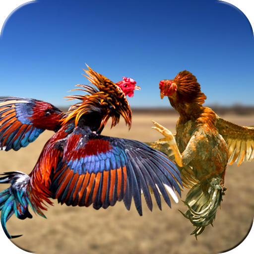 Unduh Farm Deadly Rooster Fighting 1.0 untuk Android/iOS APK - TapTap