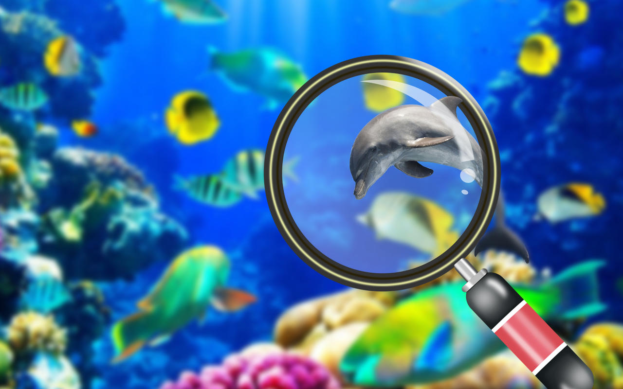 Download Find it out - hidden fish 1.0.0 for Android/iOS APK - TapTap